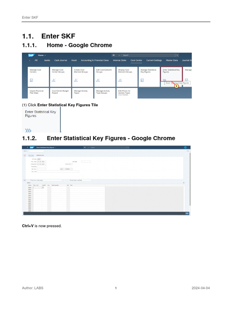 2-Enter SKF | PDF | Graphical User Interfaces | Software