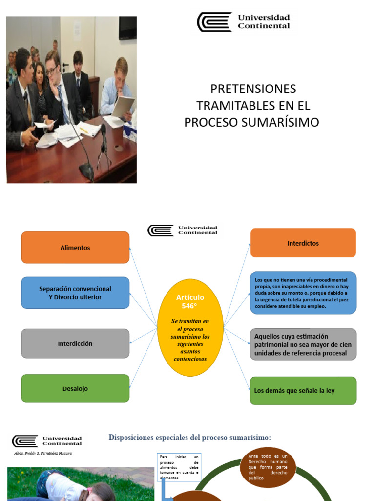 Proceso Sumarisimo - Ii | PDF | Divorcio | Posesión (Ley)