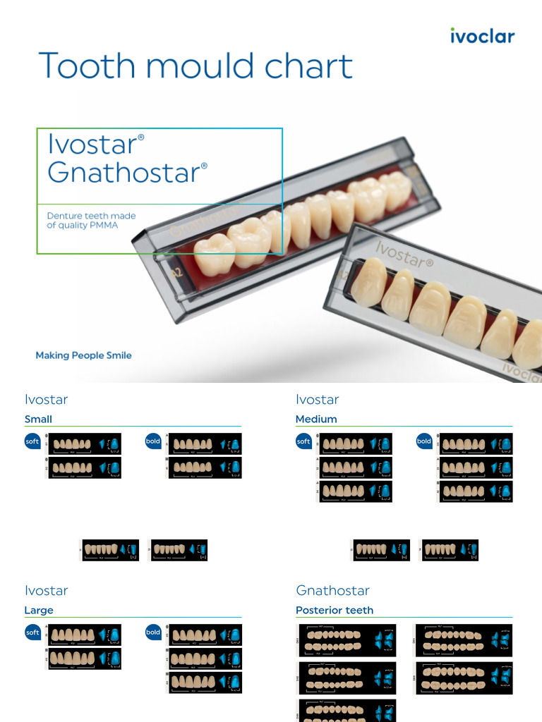 Dientes Ivoclar | PDF | Dentures | Dental Anatomy