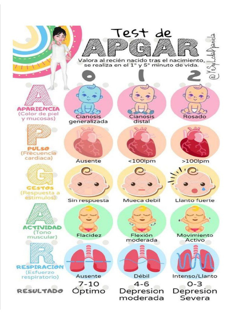Apagar Test | PDF