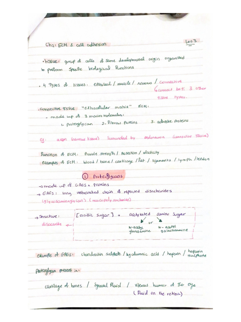 Lecture 3 (ch2) | PDF