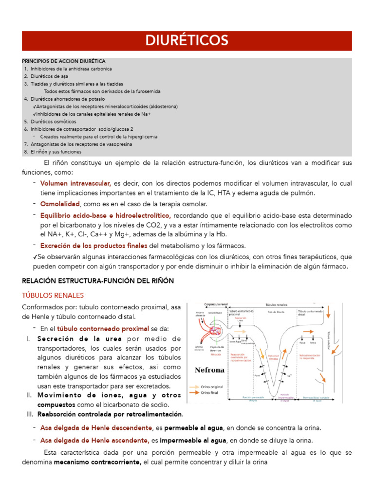 Fármacos Diureticos | PDF | Riñón | Sodio