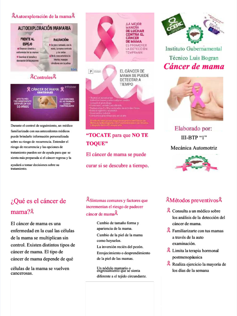 pdf-trifolio-sobre-el-cancer-de-mama-20_compress | PDF