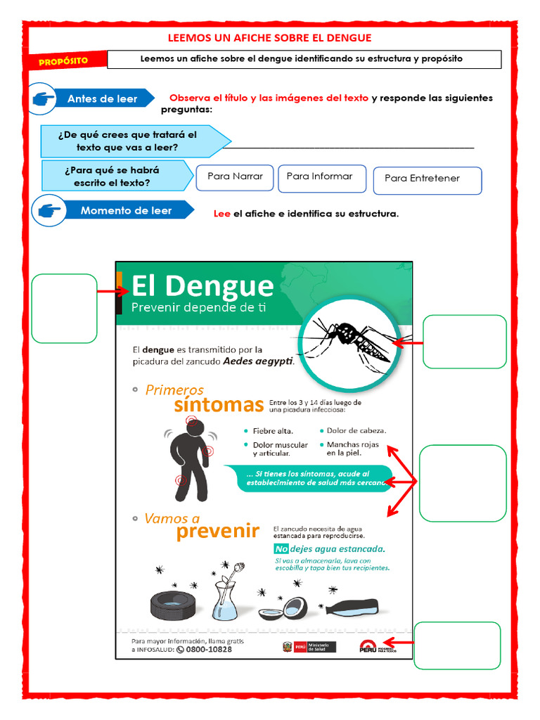 Ficha Com Leemos Un Afiche Acerca Del Dengue | PDF
