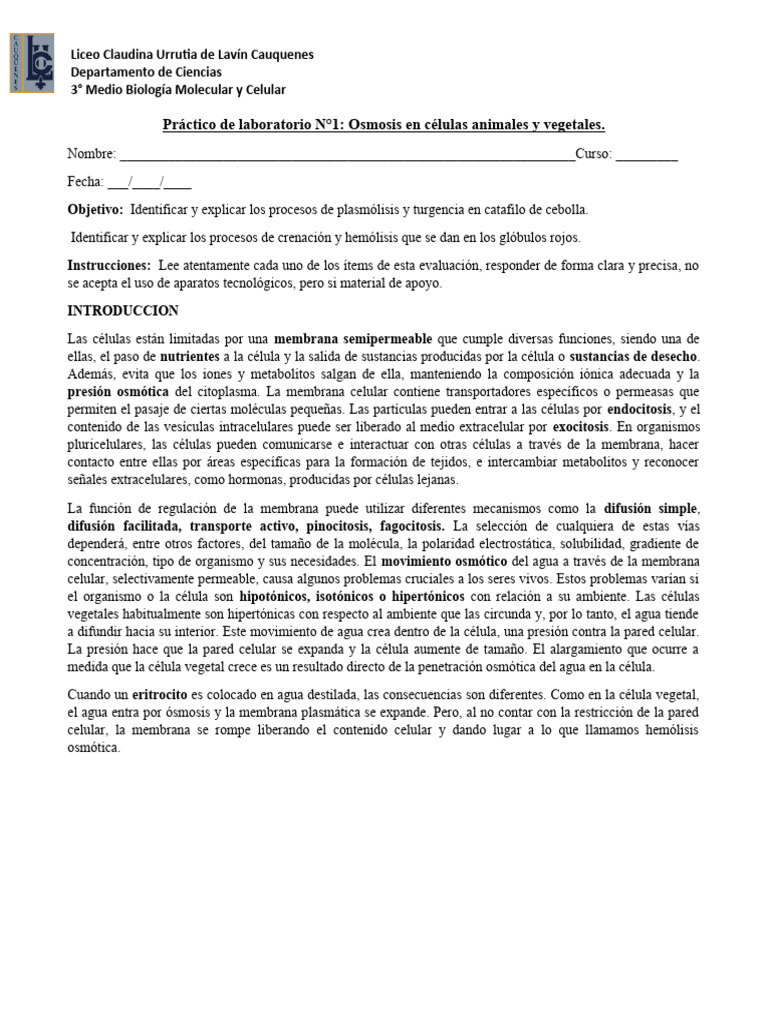 Práctico de Osmosis en Células | PDF | Ósmosis | Biología Celular)
