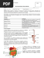 Hojas para Imprimir Sistema Digestivo | PDF | Digestión | Sistema ...