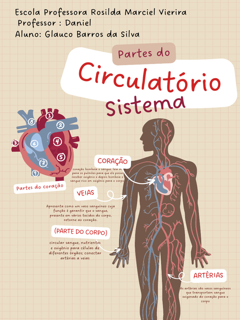 Parts of The Human Circulatory System Science Poster in Light Brown ...