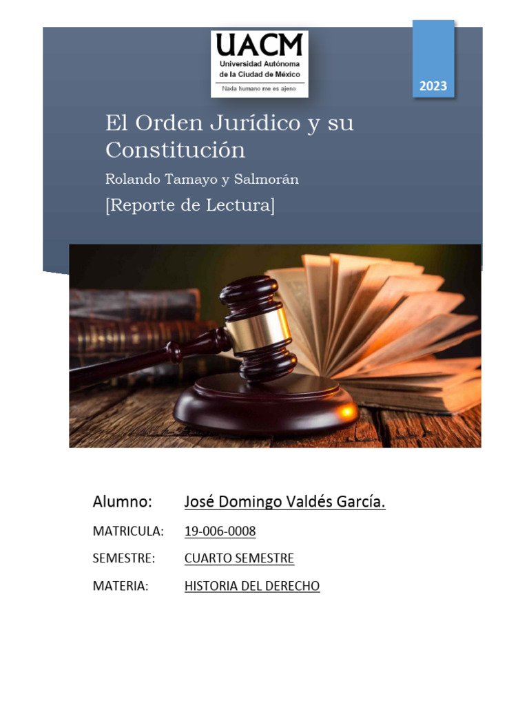 El Orden Juridico | PDF | Constitución