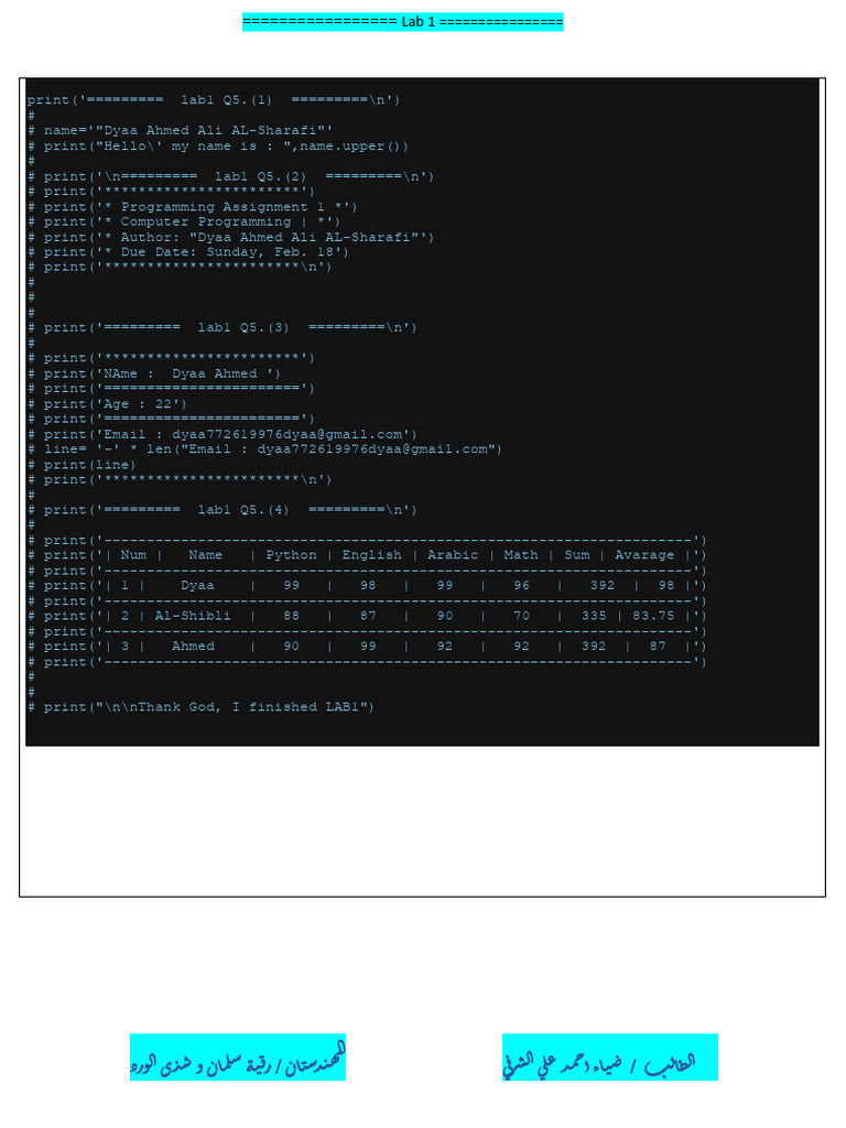 Python Programming Lab Assignment | PDF | Technology & Engineering
