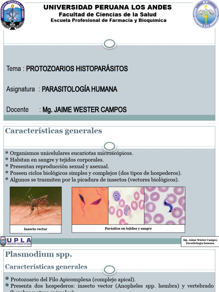 Protozoarios Histoparásitos | PDF | Malaria | Plasmodium
