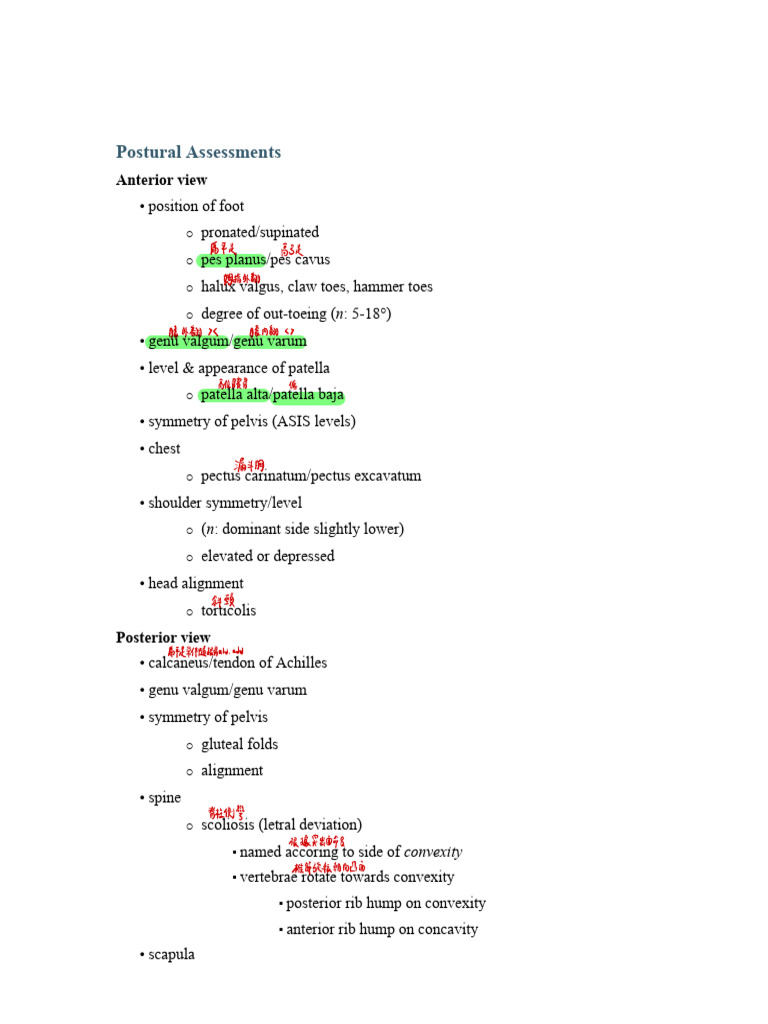 Comprehensive Postural Assessment Guide | PDF | Anatomical Terms Of ...