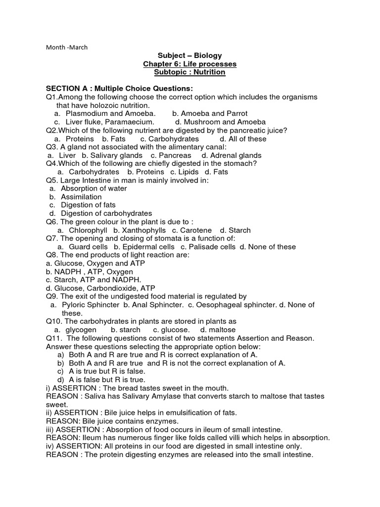 Life Processes Assignment | PDF | Digestion | Respiratory System