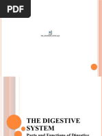 REVISION WORKSHEET ON DIGESTIVE SYSTEM-Gr 6 | PDF | Digestion | Human ...