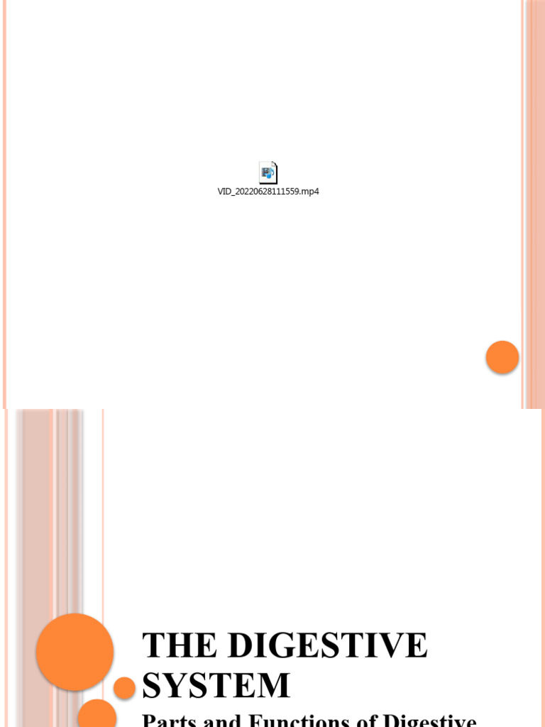 Digestive System: Parts & Functions | PDF | Human Digestive System ...