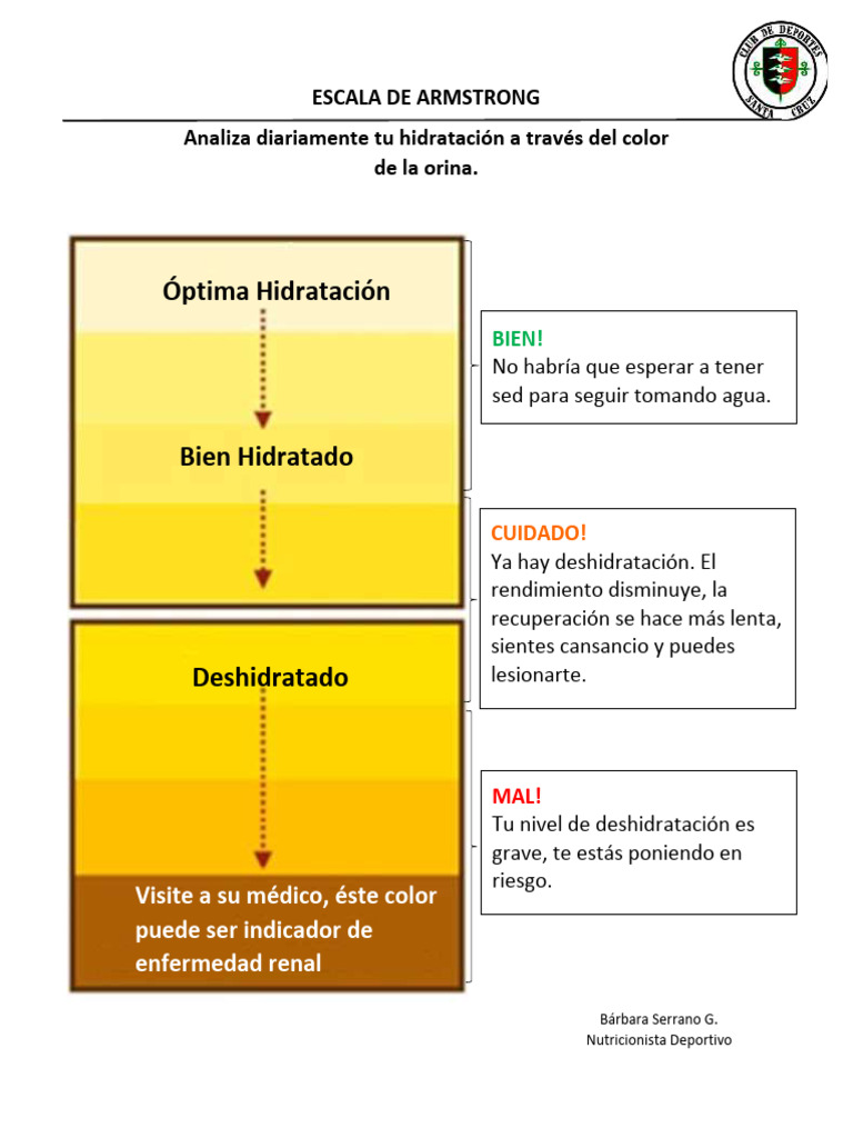 ESCALA DE ARMSTRONG (Todas Las Cat) | PDF