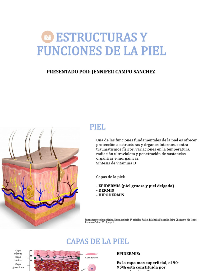 piel | PDF | Piel | Epidermis