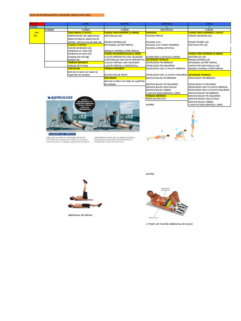 PAUTA DE ENTRENAMIENTO VERANO | PDF | Entrenamiento con pesas | Ejercicio físico