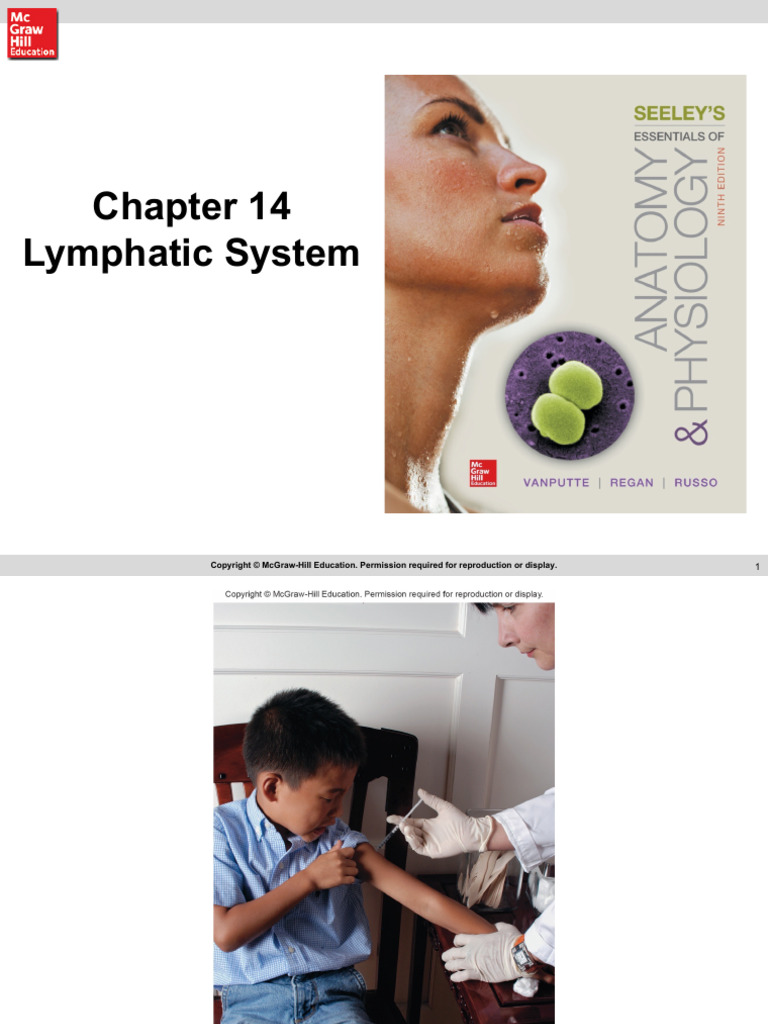 14 Lymphatic System 1 Pdf Lymphatic System Antigen