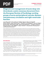DVT Documentation: Acute vs Chronic Codes | PDF | Thrombosis | Vein