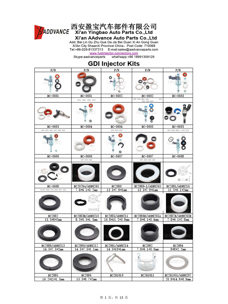 ASNU 2024 New Updated Fuel Injector Repair Kits Catalog | PDF