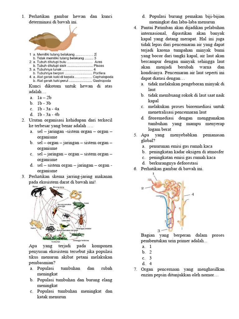Soal Us Ipa Kelas Ix 2024 | PDF