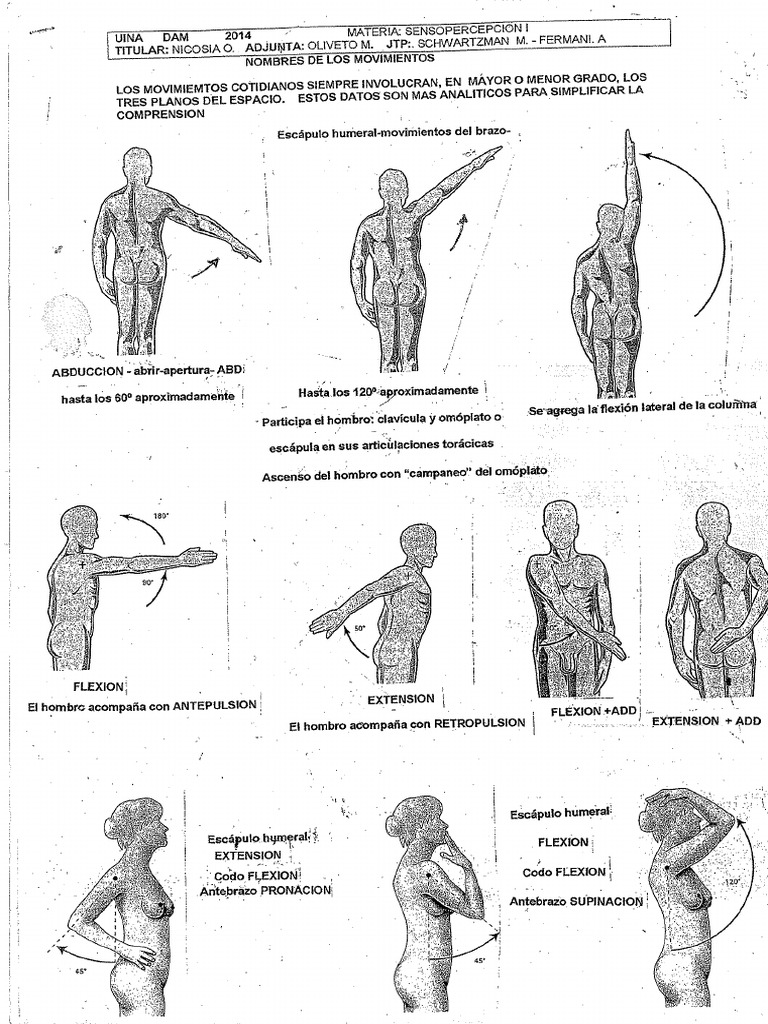 Movimientos Del Cuerpo Pdf