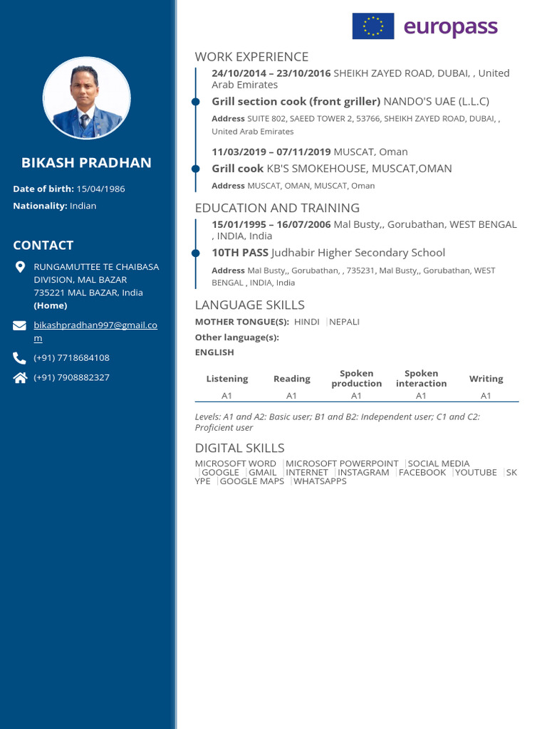 CV - Bikash Pradhan Euro 3 | PDF