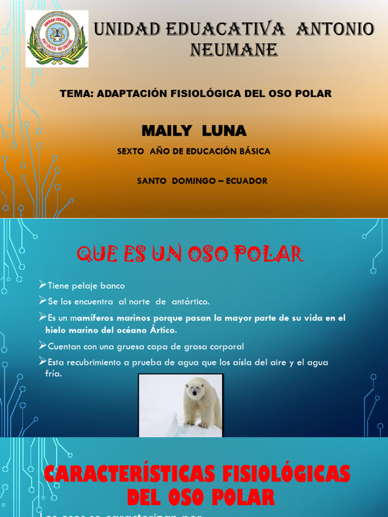 Maily Luna 0so Polar | PDF