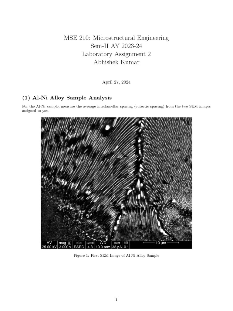 Lab2 Report | PDF | Steel | Scanning Electron Microscope