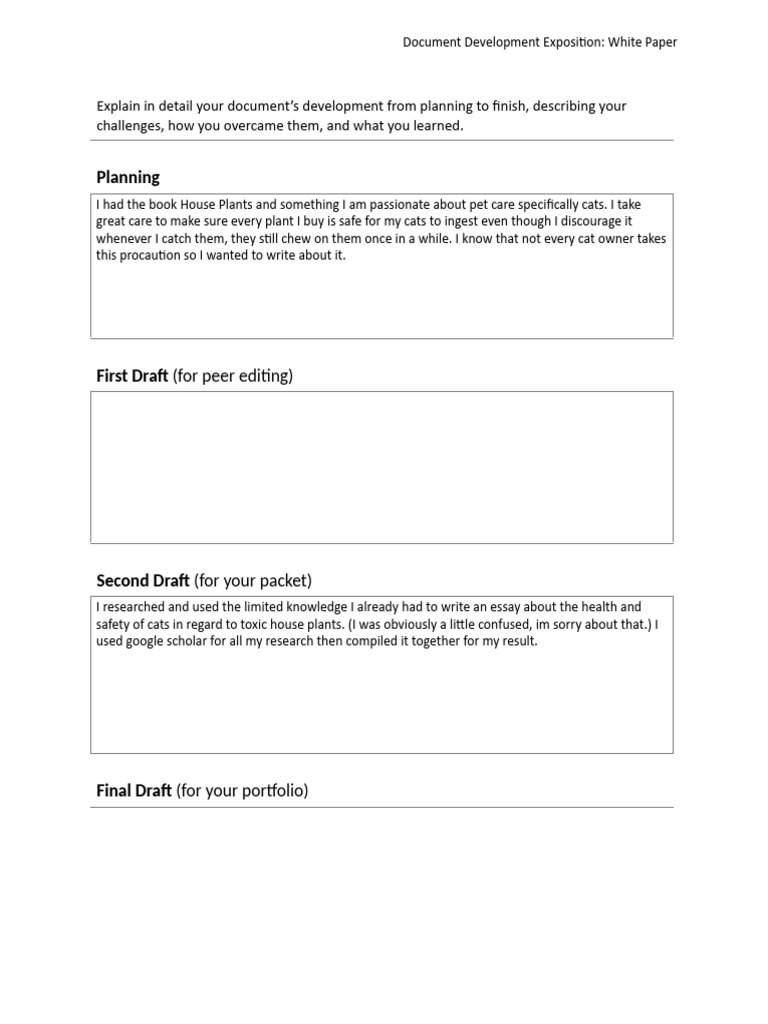 White Paper Dde P - Brenna Dwyer | PDF | Written Communication