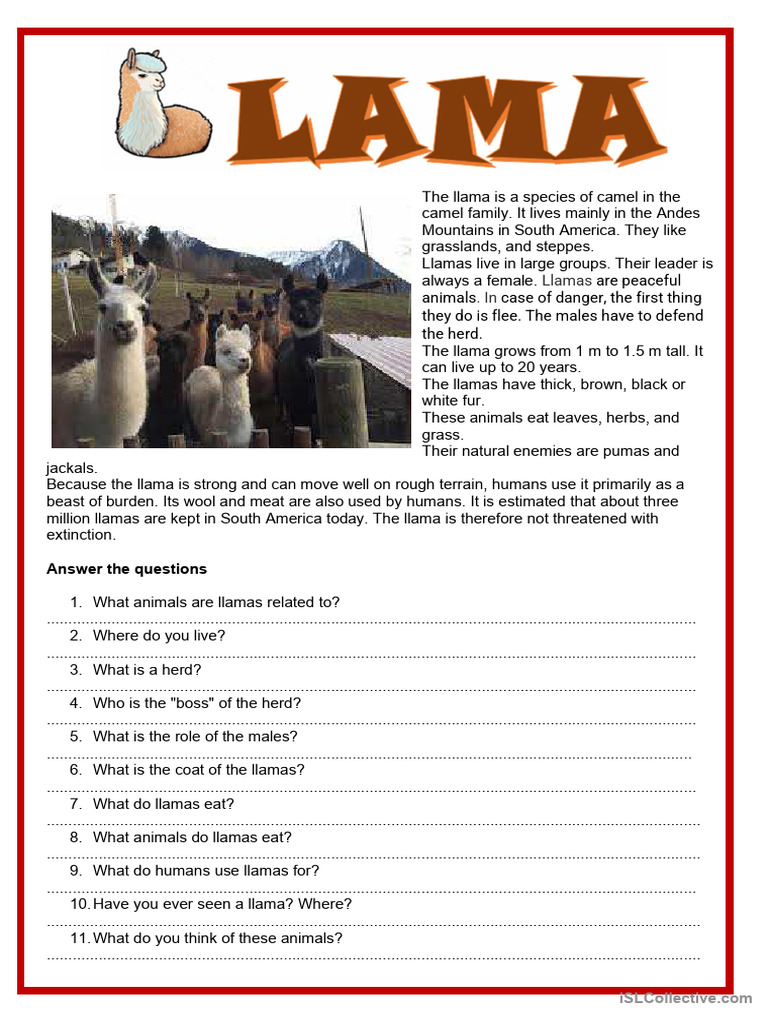 Easy Reading - Llama | PDF