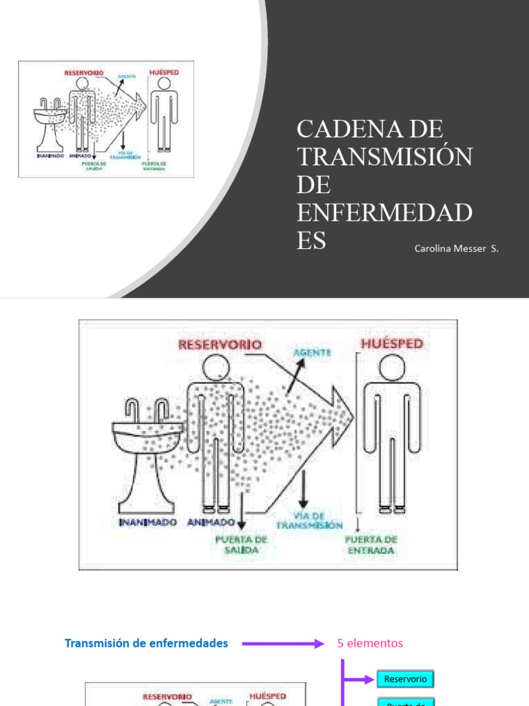 Cadena de Transmisión de Enfermedades | PDF | Infección | Virus