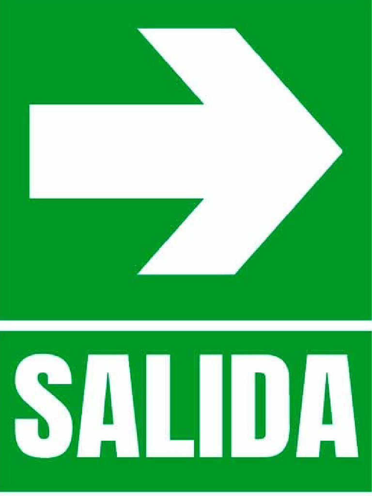 SALIDA | PDF