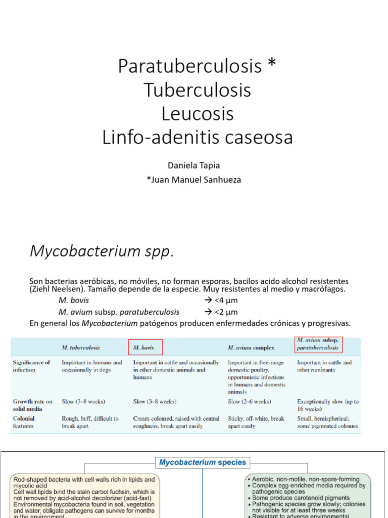 Clase 4. Paratuberculosis, Tuberculosis, Leucosis1 | PDF | Tuberculosis ...