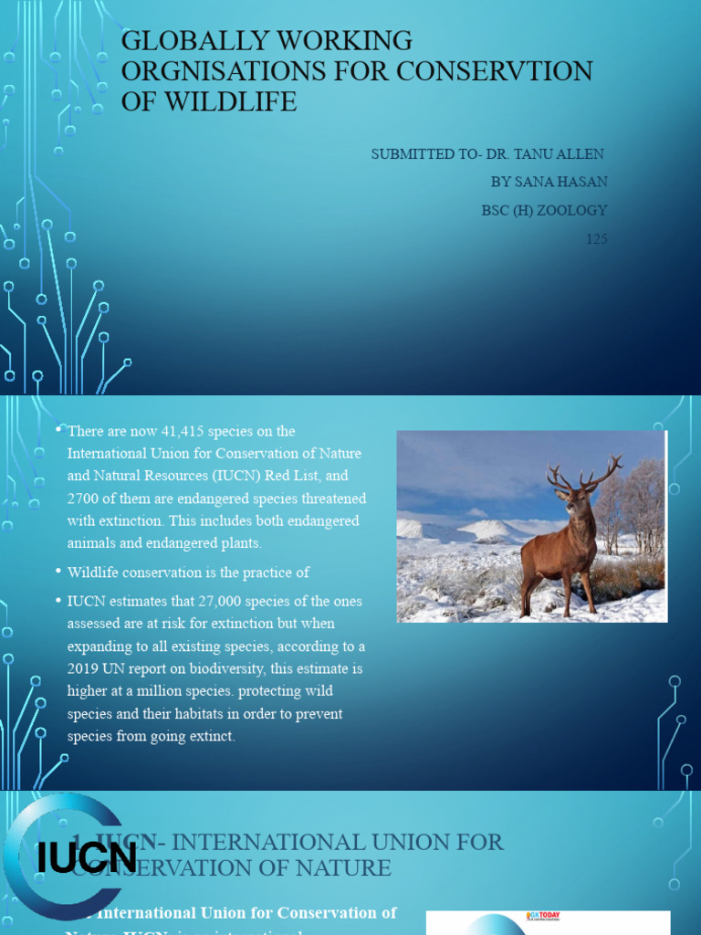 Biodiversity PPT Final | Download Free PDF | Conservation Biology ...