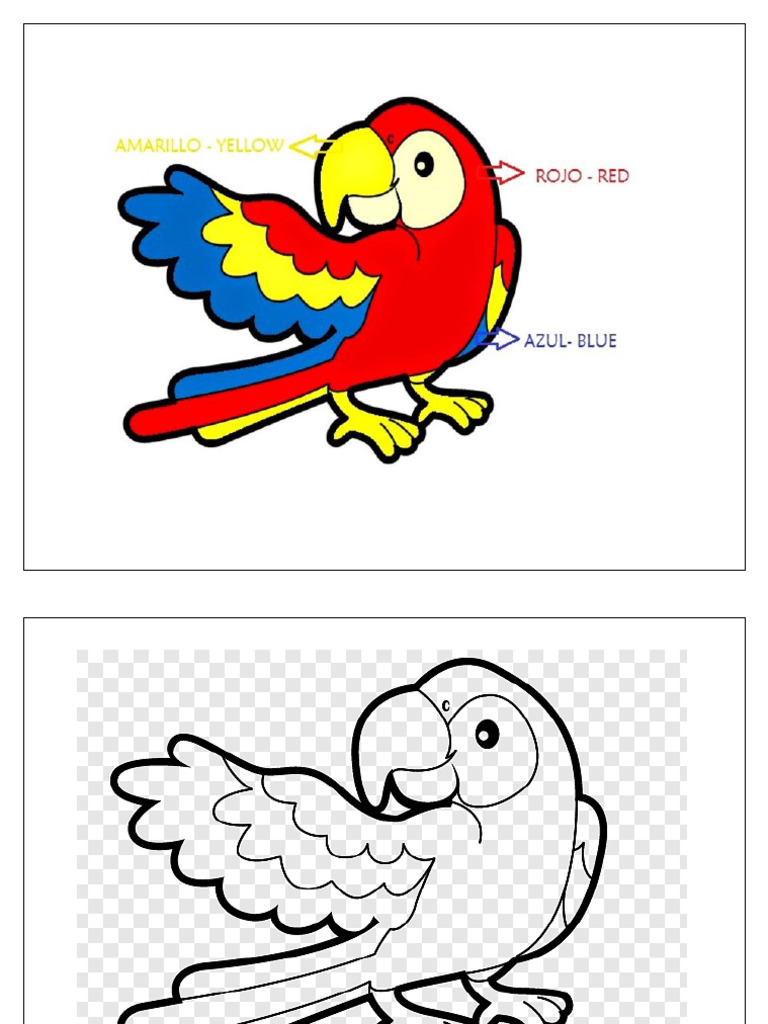 Colores Primarios | PDF