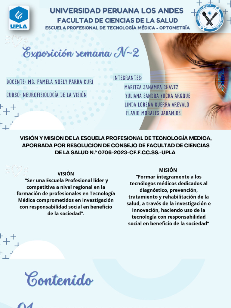 neurofisiologia de la vision | PDF | Percepción visual | Axon