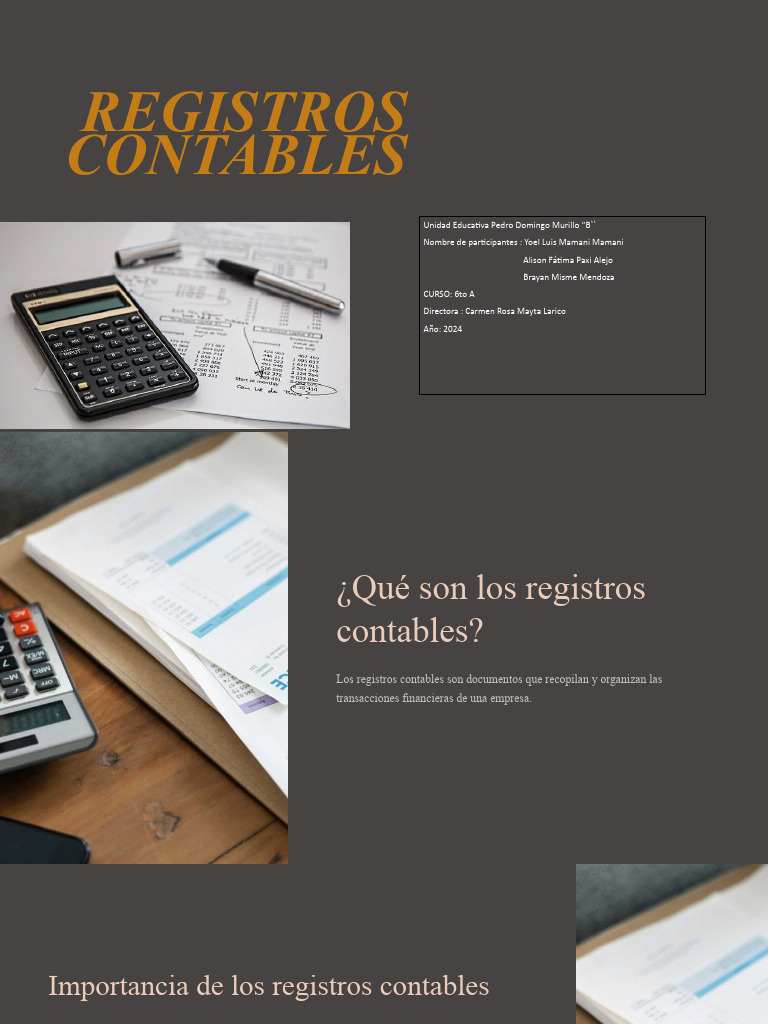 Que-son-los-registros-contables | PDF | Contabilidad | Estado financiero
