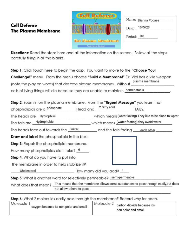 Kami Export - Elianna Pocase - Cell Defense Worksheet | PDF | Lipid ...