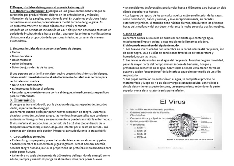 El Dengue Ficha para Estudantes | Descargar gratis PDF | Mosquito ...