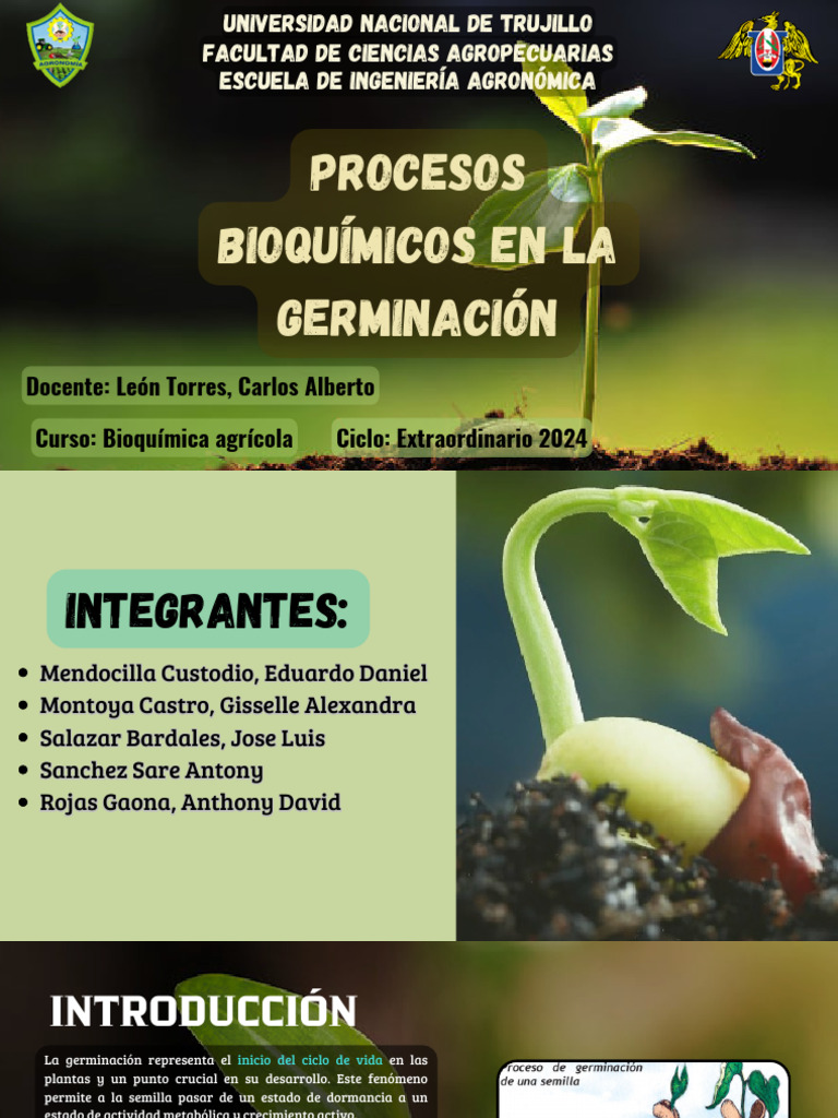 Procesos Bioquímicos en La Germinación | PDF | Trifosfato de adenosina ...