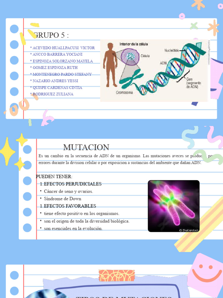 Grupo 5 Que Son Las Mutaciones | PDF