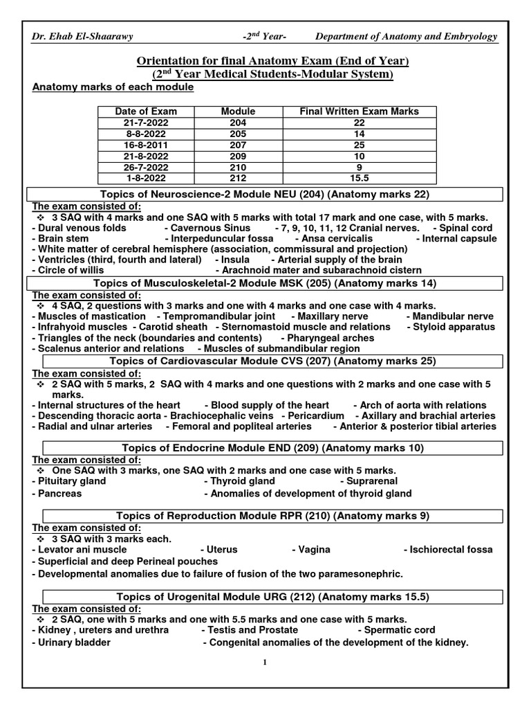 Final Cns | PDF | Cerebellum | Coronary Circulation