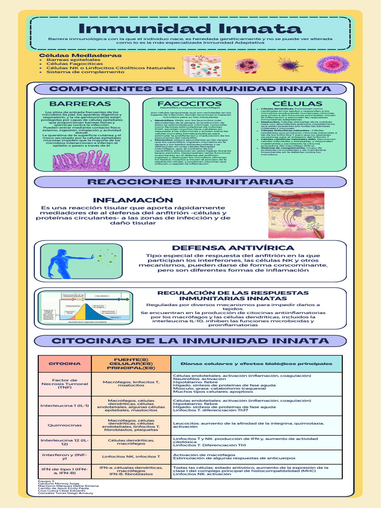 Inmunidad Innata infografia | PDF | Sistema inmune | Citocina