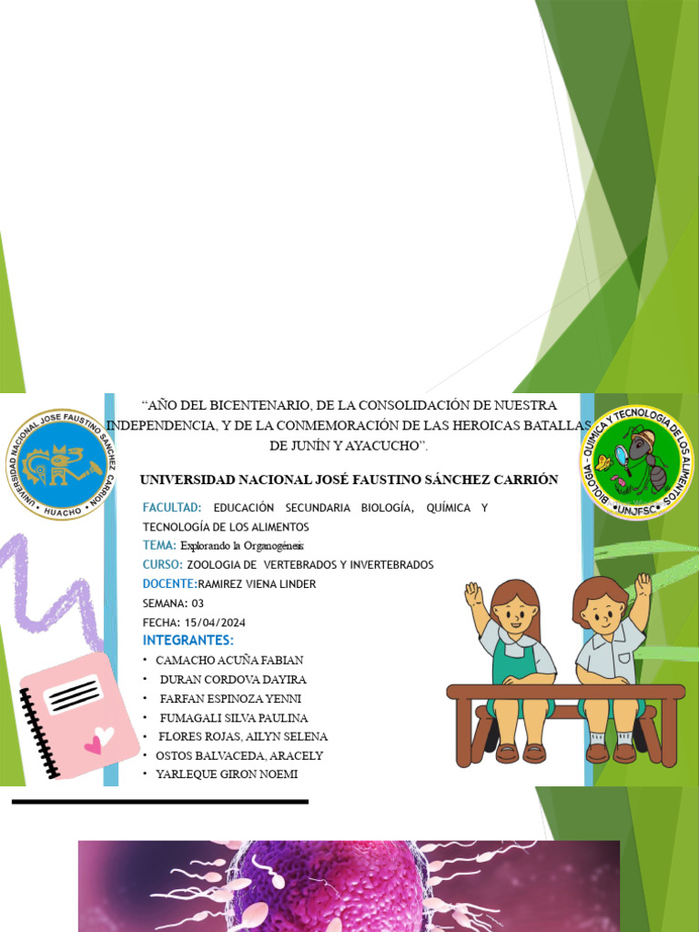 Organogénesis: Gástrula y Germenes Embrionarios | PDF | Embrión ...
