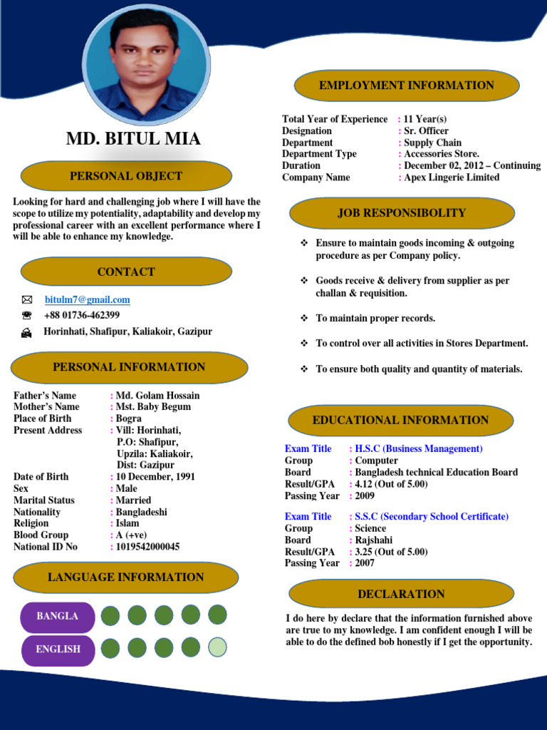 Bitul CV (Update) D | PDF