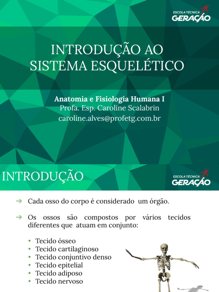 Aula 6 - Introdução Ao Sistema Esquelético | PDF | Osso | Esqueleto Aula 6 - Introdução Ao Sistema Esquelético | PDF | Osso | Esqueleto