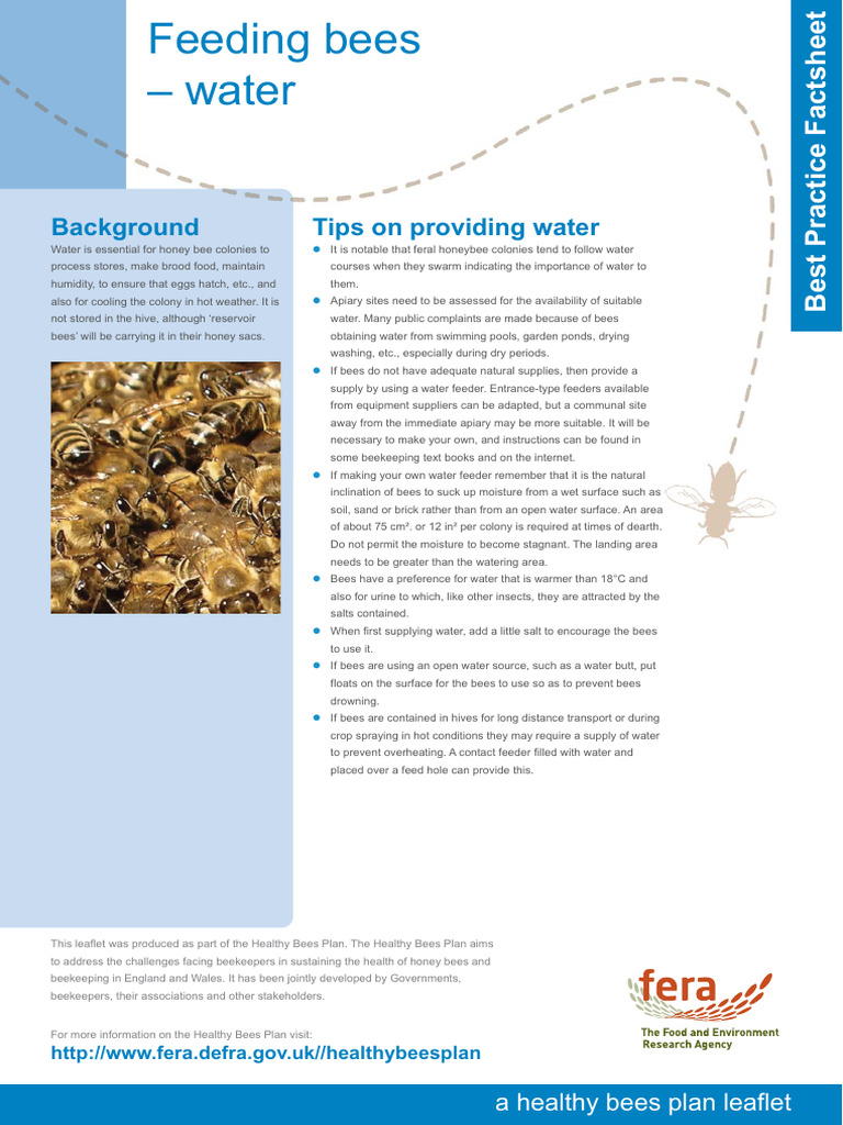Essential Water Tips for Beekeeping | PDF | Beekeeping | Honey Bee