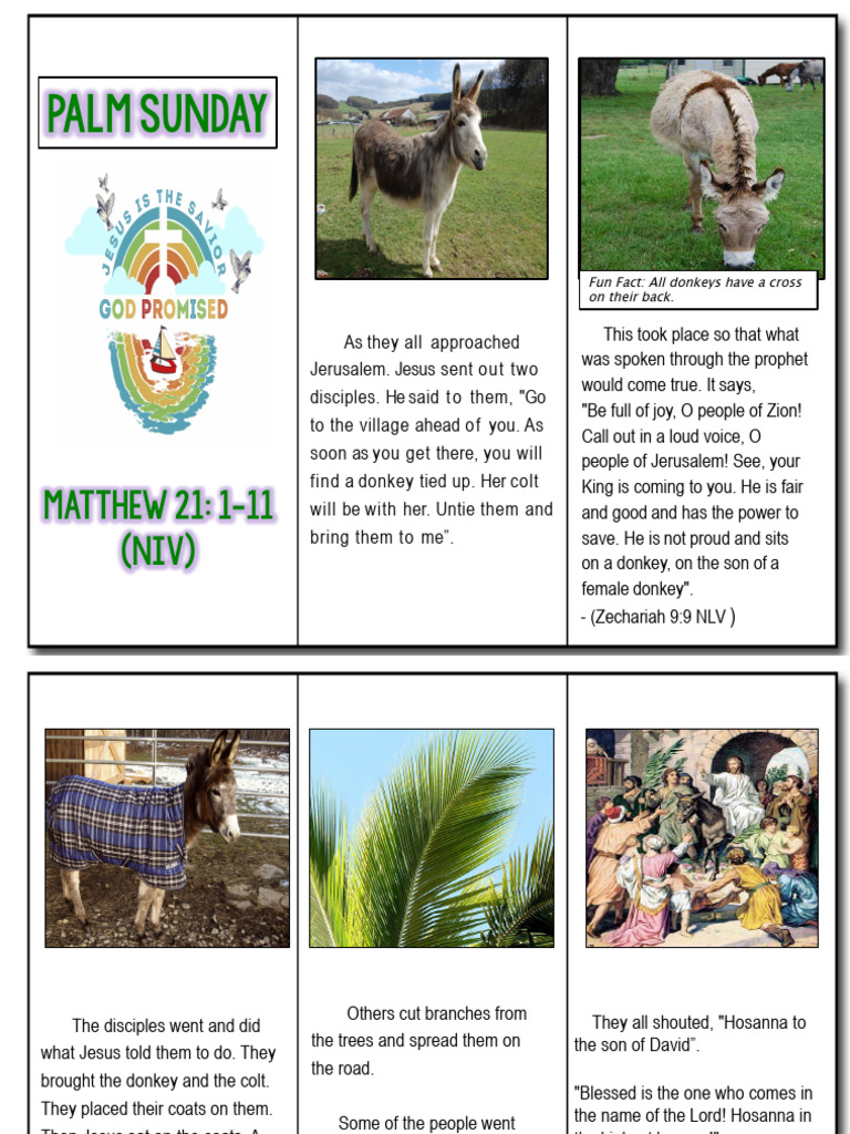 Palm Sunday: Matthew 21: 1-11 (NIV) | PDF | Jesus | New Testament People