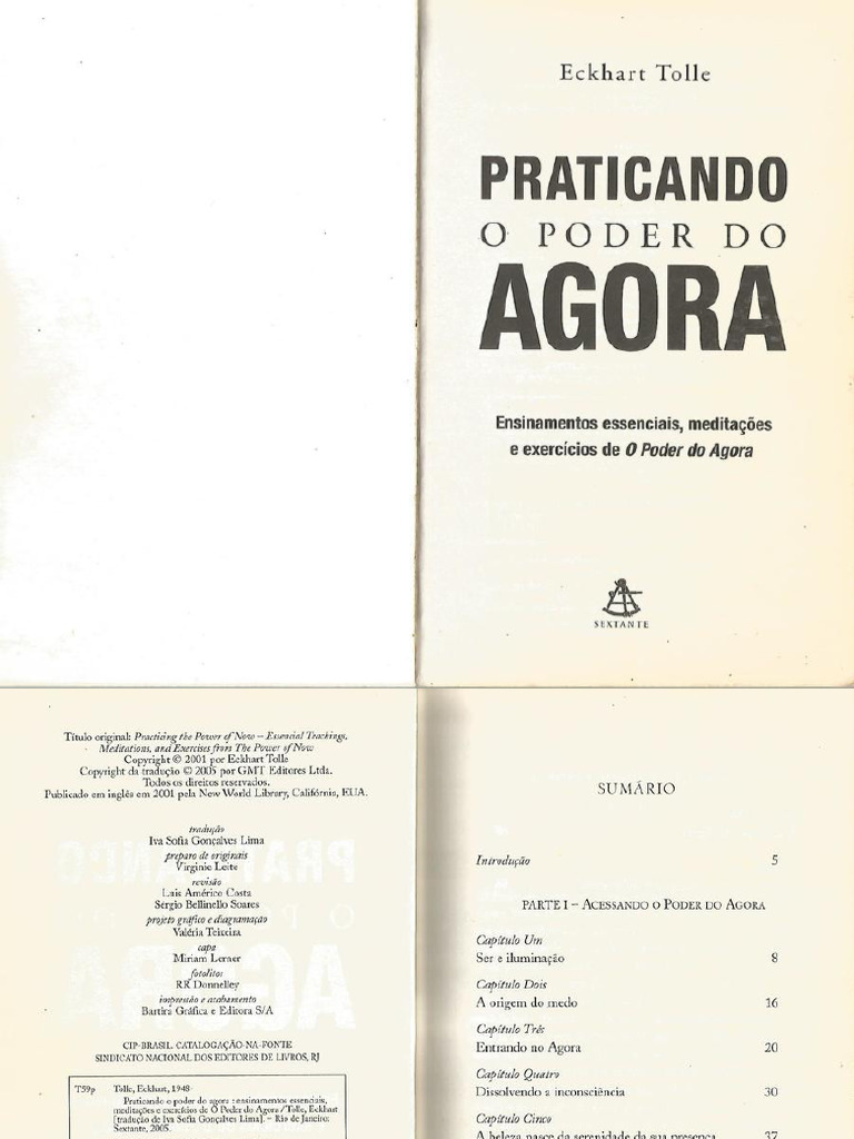Praticando o Poder Do Agora PDF Free | PDF